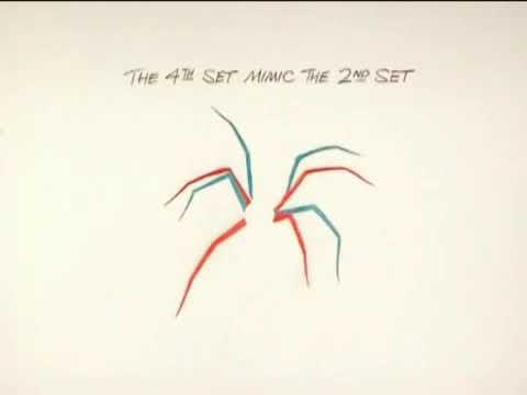 How To Animate A Walking Spider bajaryoutube com - YouTube