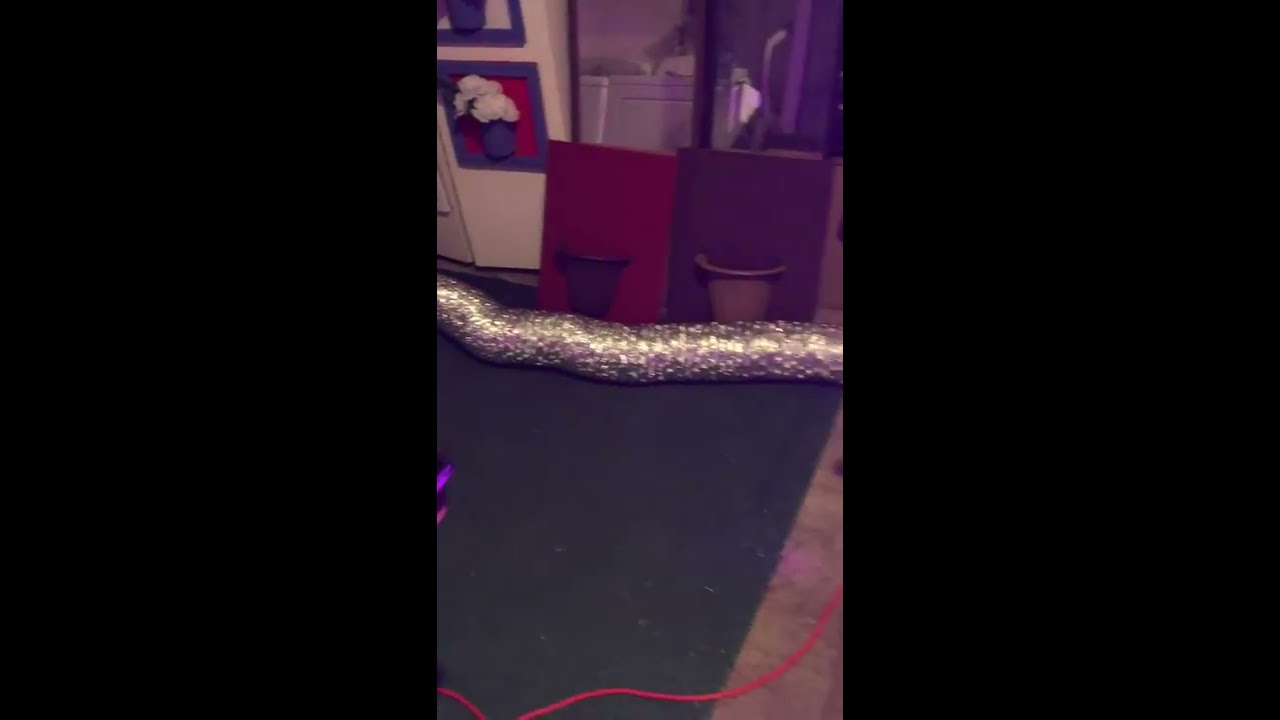 2x2 indoor grow tent with a Mars Hydro 300 watt LED light . - YouTube