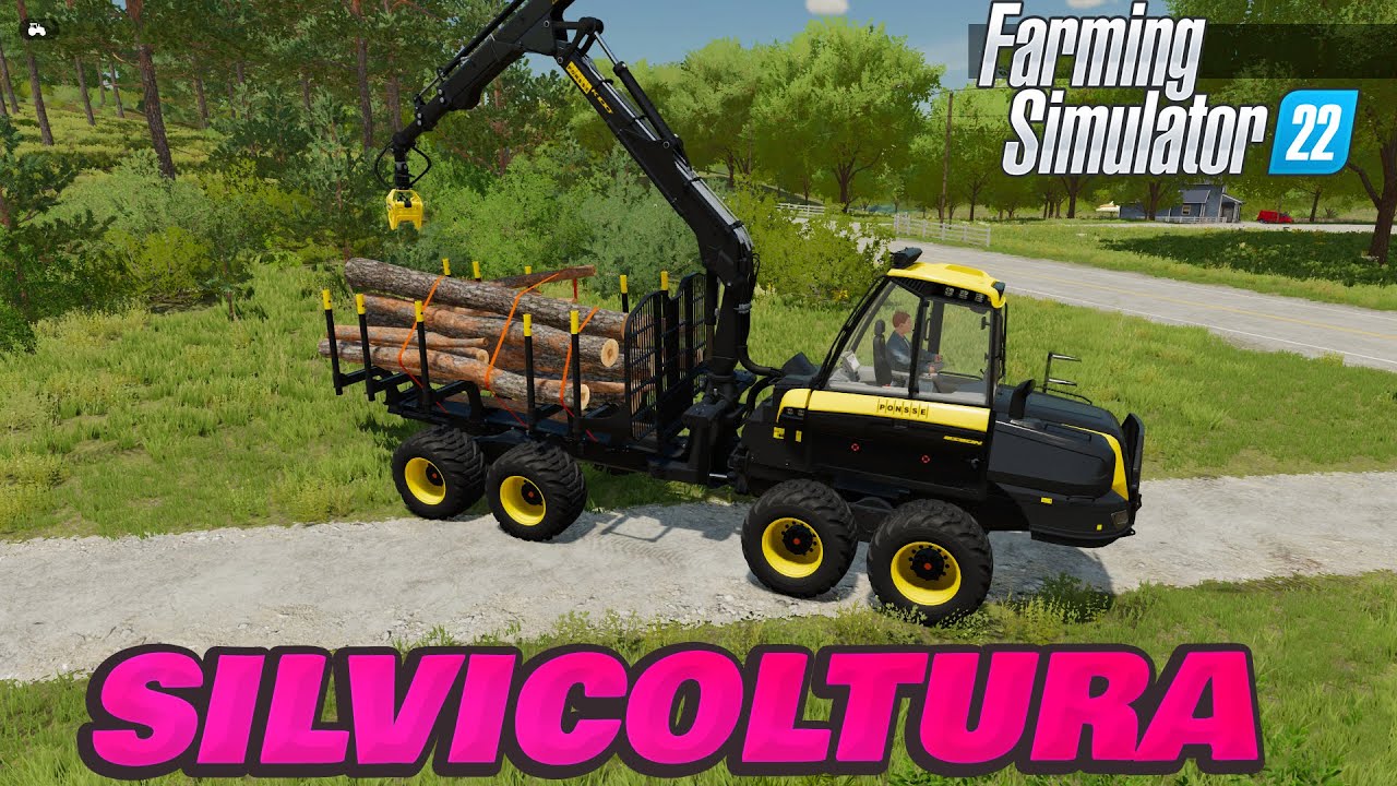 Farming Simulator 22 taglio e vendita legna sivicoltura - YouTube