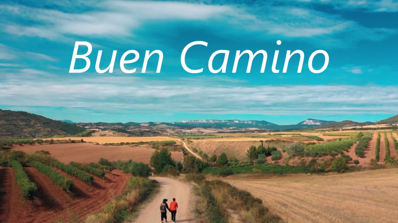 Wild Flower (Buen Camino ost) - YouTube
