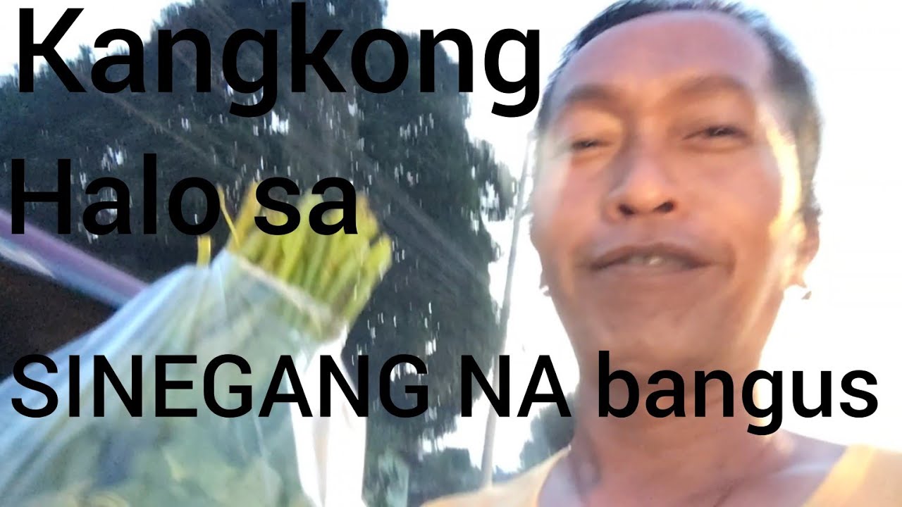 NAPAG UTOSAN N MAGBILI NANG PANGHALO SA SINEGANG +YAWYAWAN SA KALSADA ...
