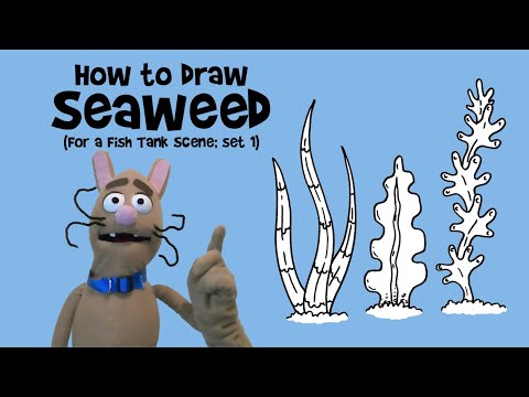 How to Draw Seaweed - YouTube