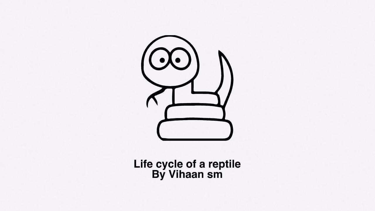 Life cycle of a reptile - YouTube