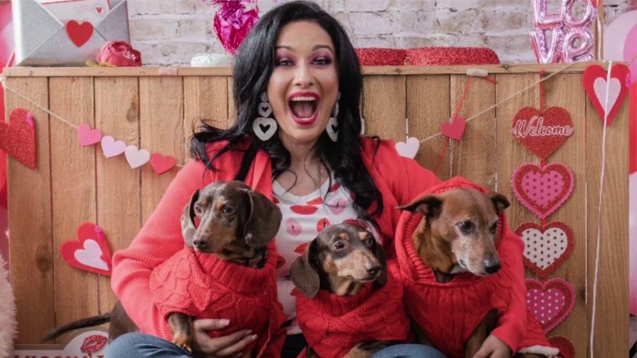 How My Rescue Dogs Rescued Me - YouTube