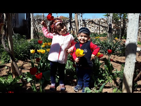 Gül Kokulu Yavrum Benim - Ali Kırış