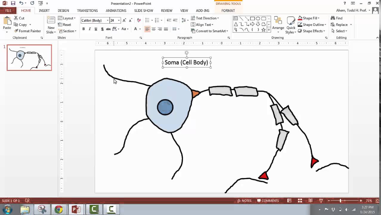 How to Draw a Neuron Video Tutorial - YouTube