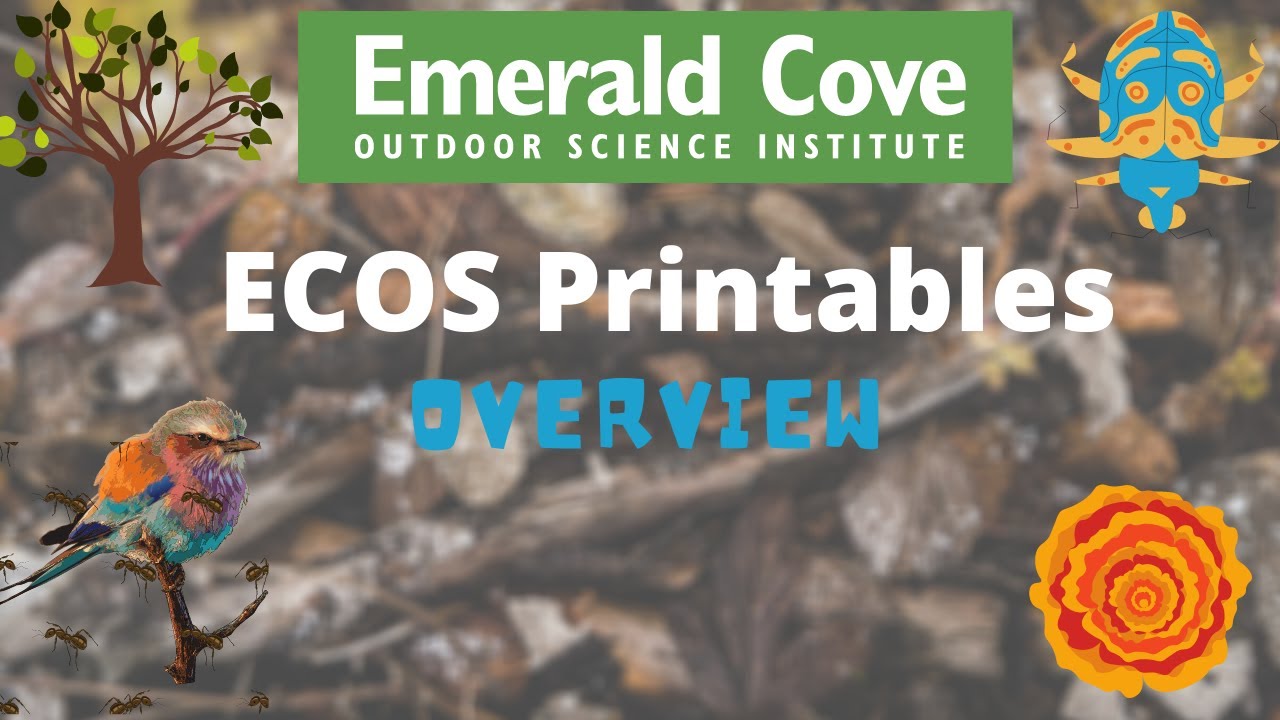 How To Use ECOS Printables Curriculum - YouTube