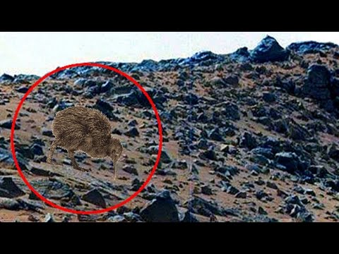 NASA Mars Perseverance Rover 4k || Mars Planet Video in 4k || Live Mars ...