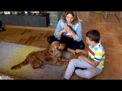 Explore Luxury Vinyl, Engineered Hardwood Flooring in Hackensack NJ