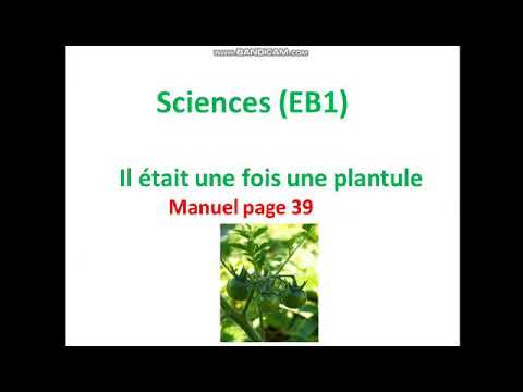 Sciences EB1 - YouTube