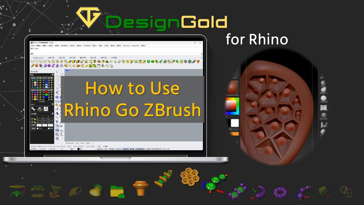How to use Rhino Go ZBrush----Very useful tool - YouTube