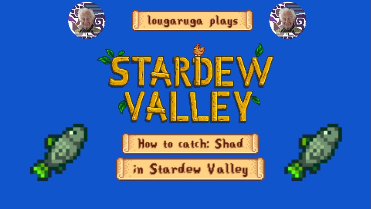 How to catch a Shad : Stardew Valley - YouTube