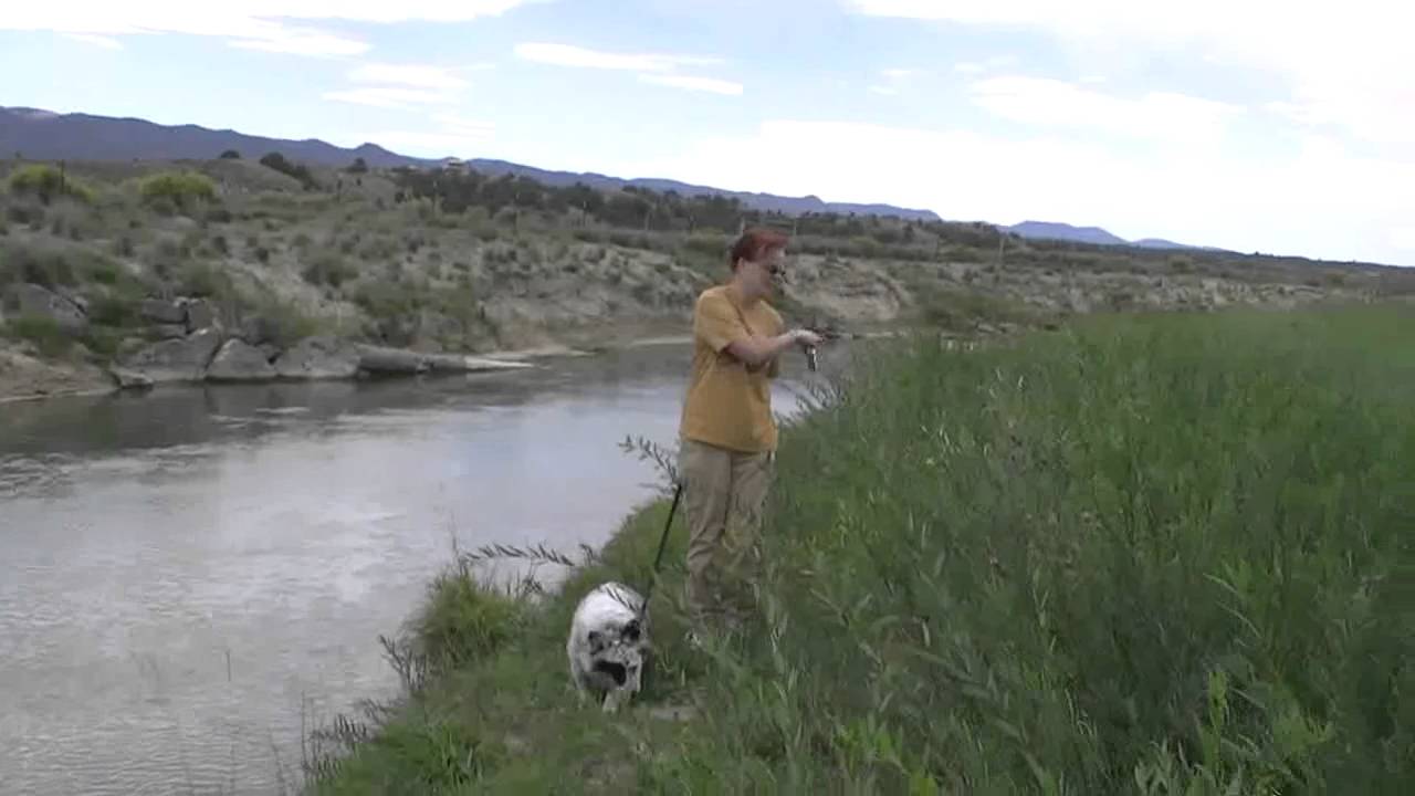2012 Sept 05, trout fishing in Hatch, southern Utah! - YouTube