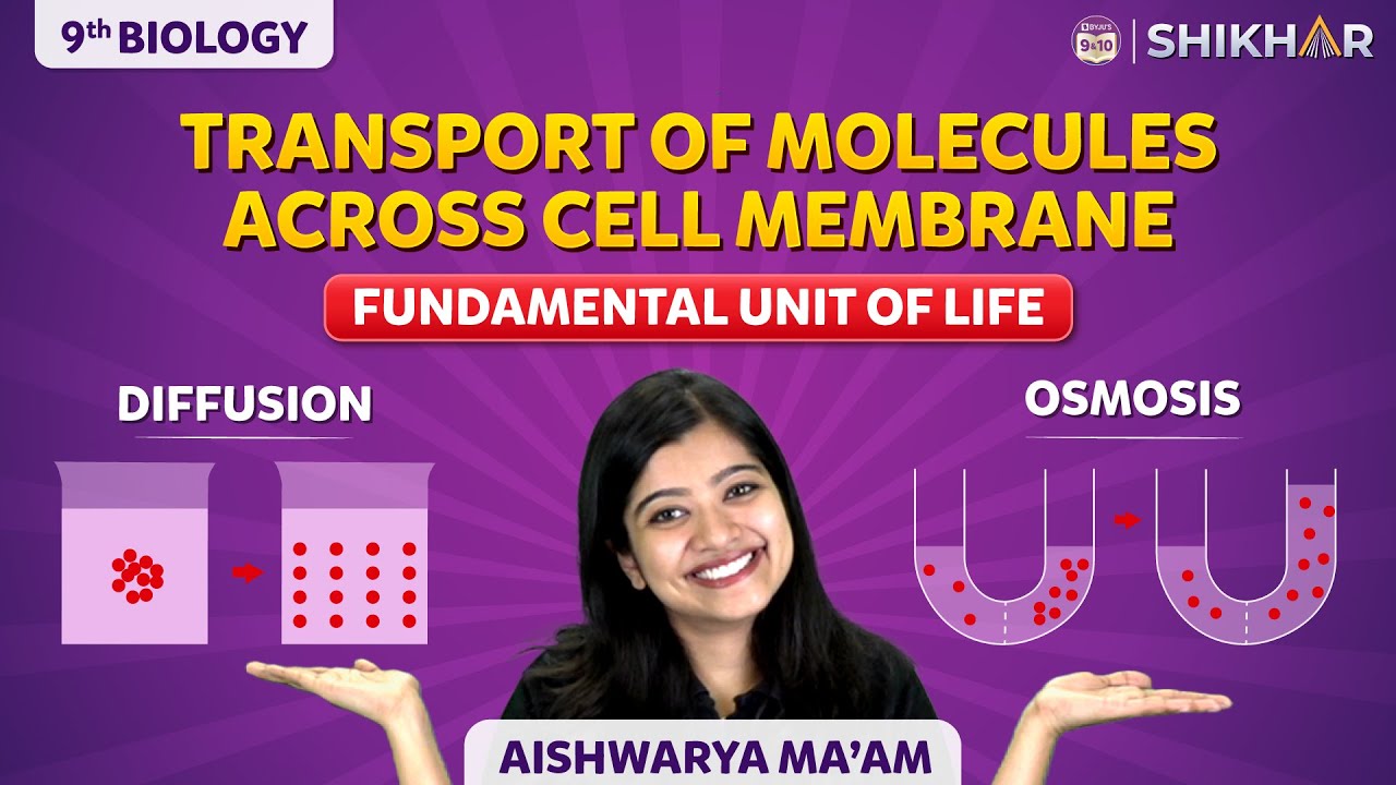 Transport of Molecules Across Cell Membrane Fundamental Unit of Life ...