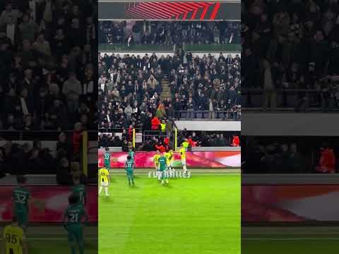Anderlecht-Fenerbahçe maçında tribünde yaşanan olaylar #anderlecht #fenerbahçe #avrupaligi