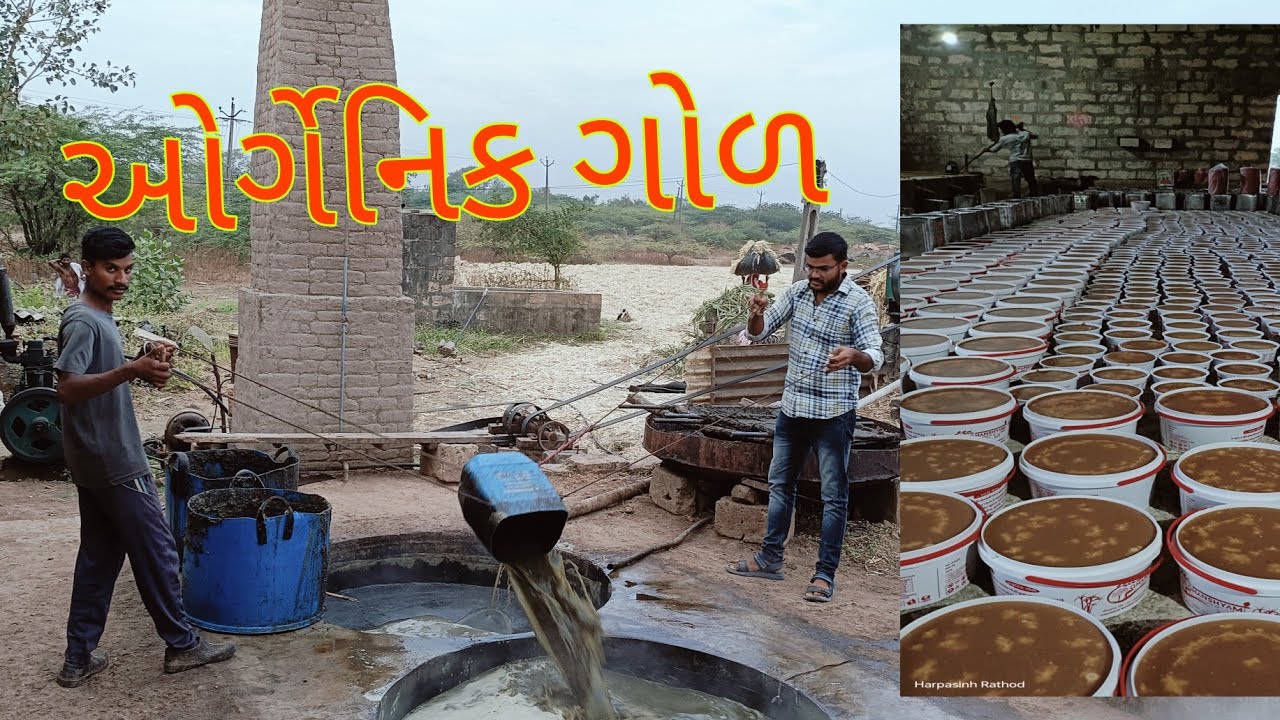 ઓર્ગેનિક ગોળ નું પેકિંગ || jaggery farm in village - YouTube