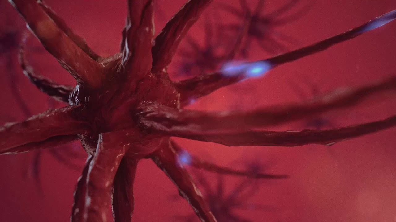 Brain Cell Synapse Animation - YouTube