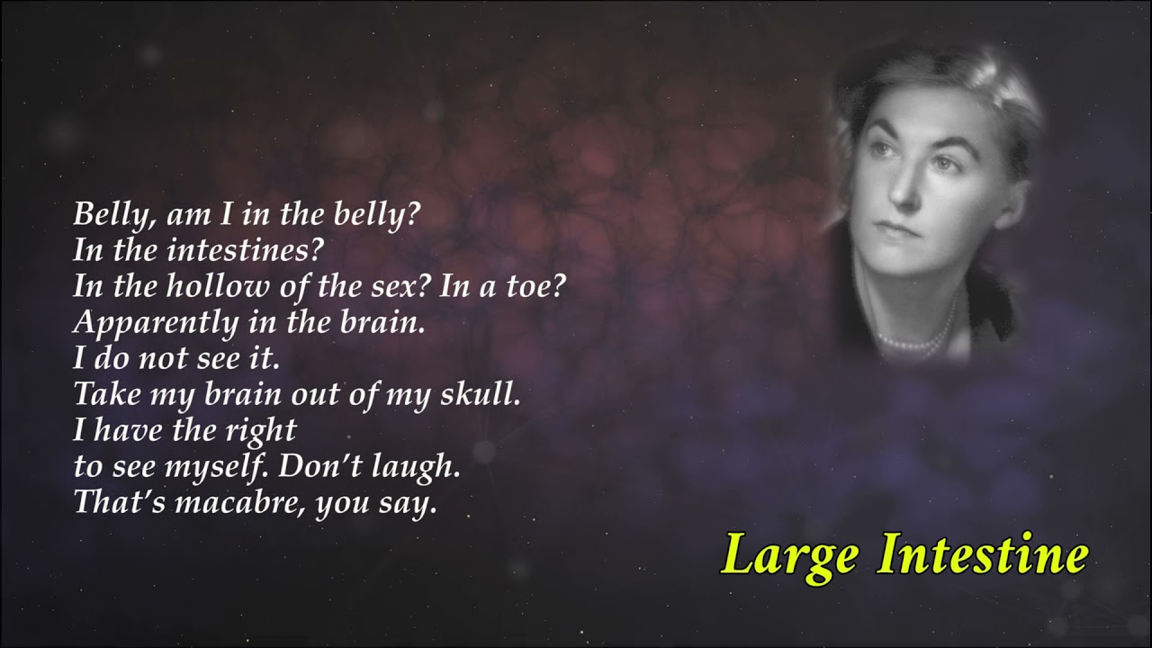 Fine Poetry - Poems of Anna Swir - Part 2, Large Intestine (read by ...