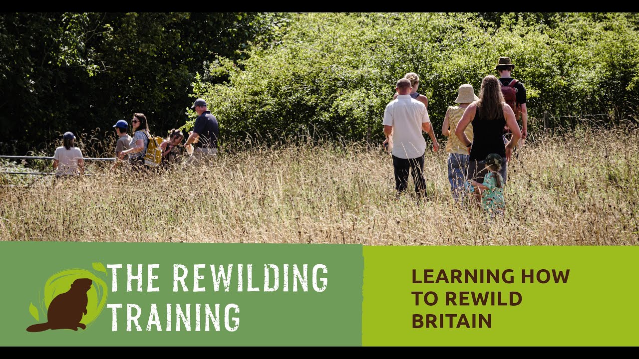 The Rewilding Training introductory webinar - How to rewild Britain ...