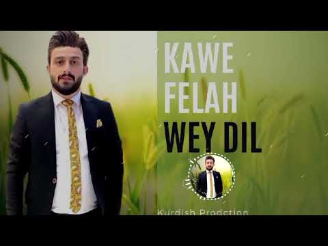 Kawe Felah | Wey Dil • 2025 ©️