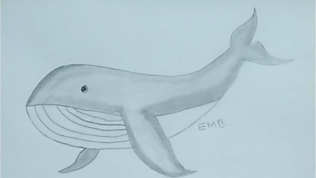 how to draw a Whale fish drawing. Easy method - YouTube