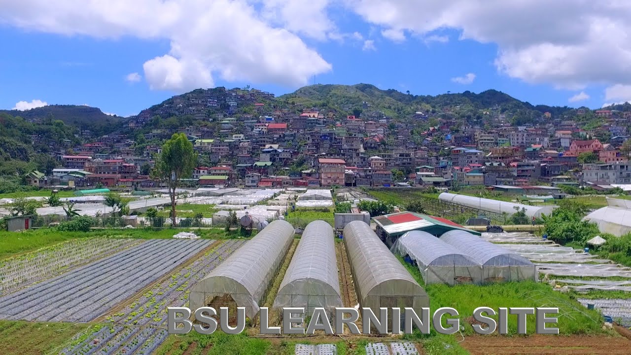 BSU Learning Site - YouTube