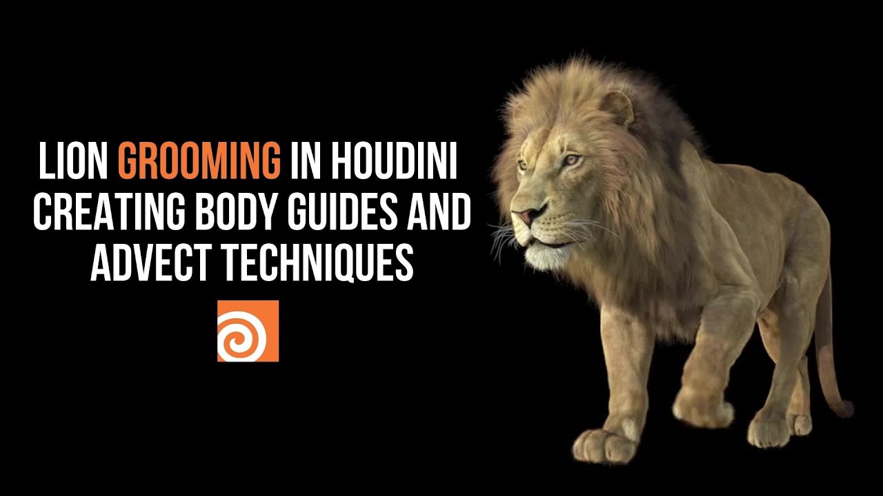 Lion Grooming in Houdini | Creating Body Guides and Advect Techniques # ...
