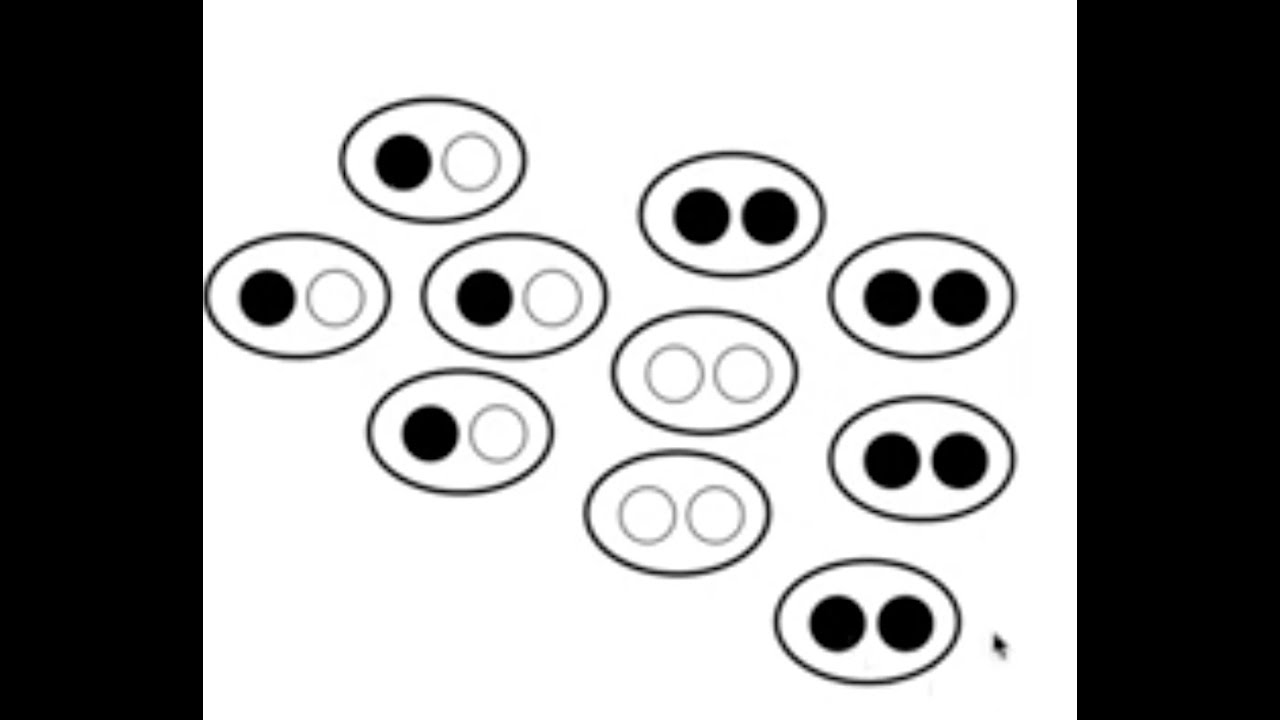 Conceitos básicos: lócus, alelo e diversidade genética. - YouTube