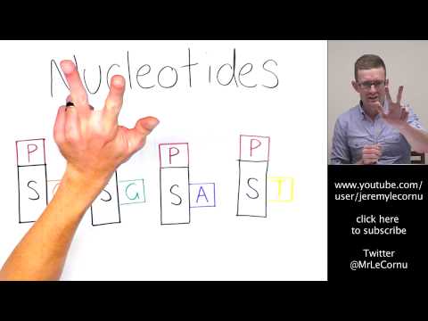 What is RNA? - YouTube