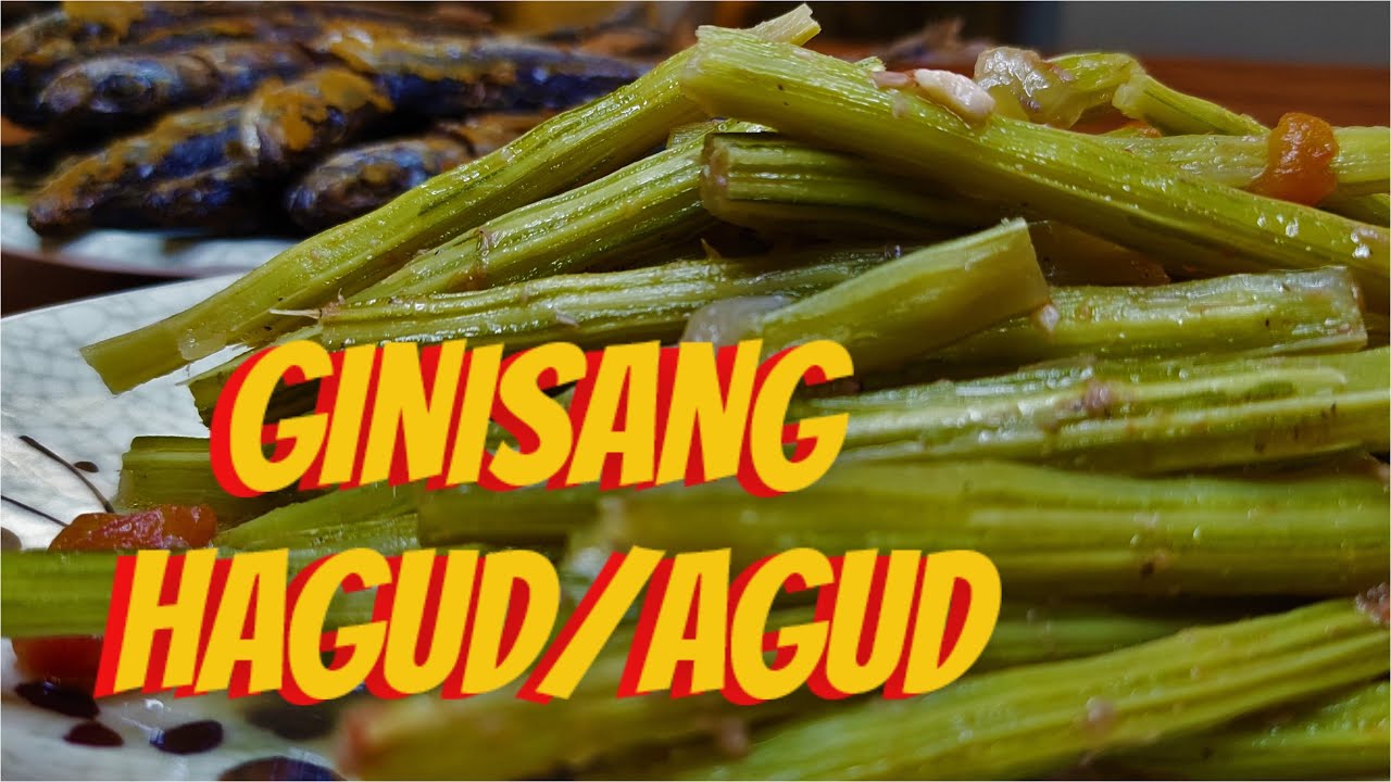 GINISANG HAGUD/AGUD | SAUTEED MORINGA PODS/FRUITS - YouTube