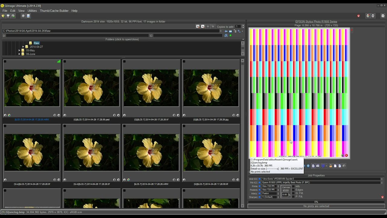 Qimage Ultimate - Print Unclog Pattern - YouTube