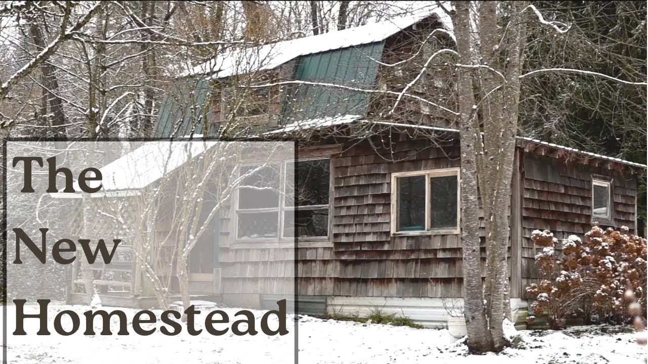 New Homestead in the PNW - YouTube