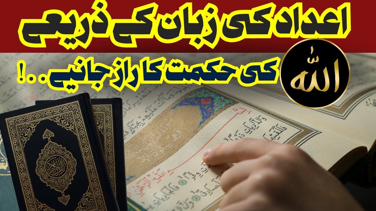 Learn The Secret Of "ALLAH'S" Wisdom Through The Language Of Numbers ...