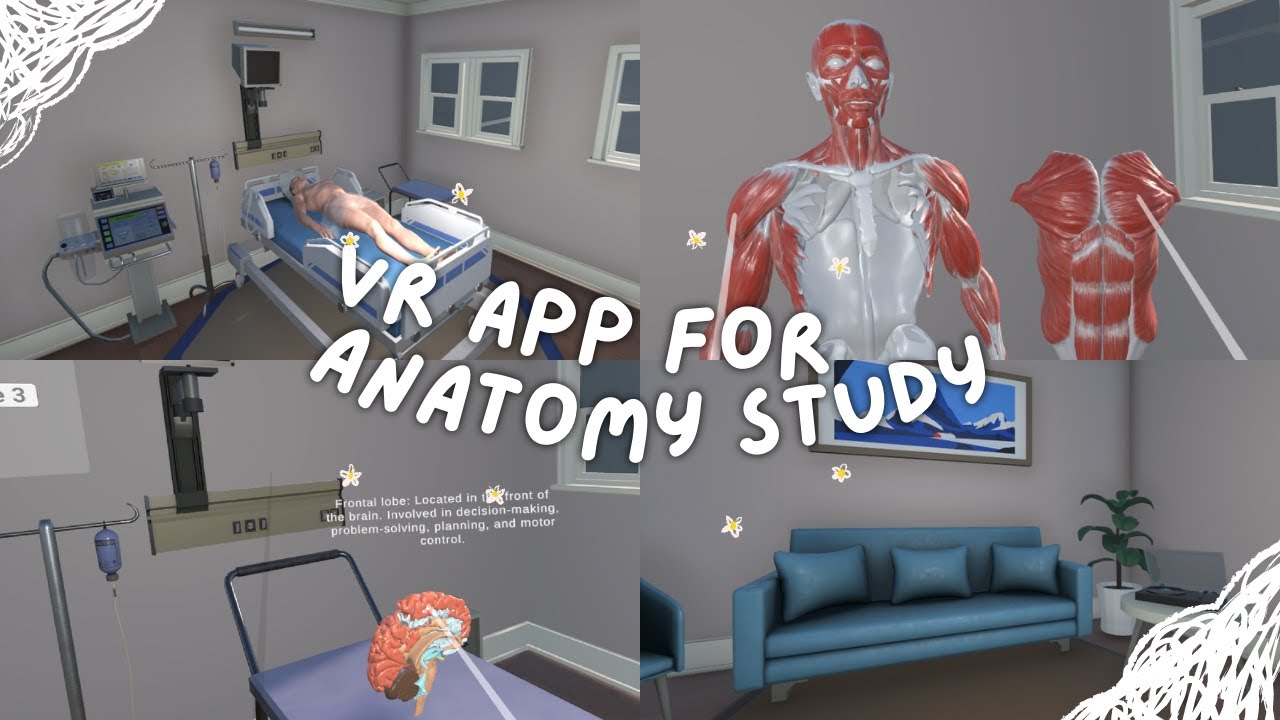 Anatomy study in VR | Application DEMO - YouTube