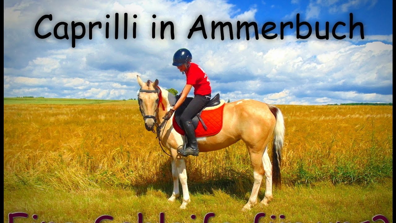 Caprilli - Ammerbuch 2016 - YouTube