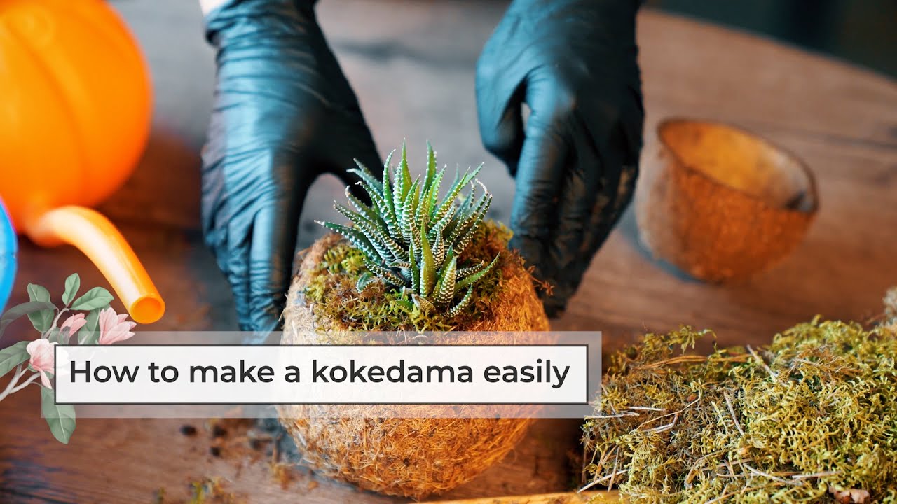 How to Make a Kokedama Easily | Moss Ball Planter - YouTube