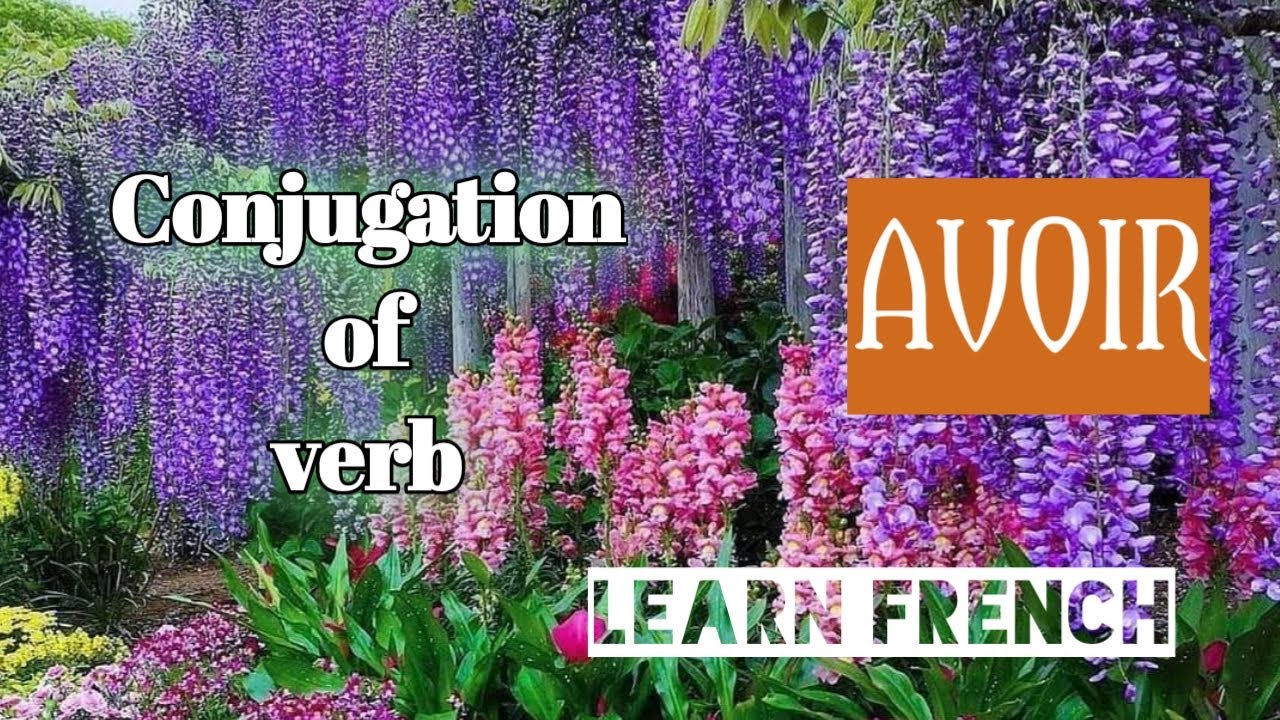 French lesson 17.2 conjugations/ conjugaison ||avoir in present tense ...