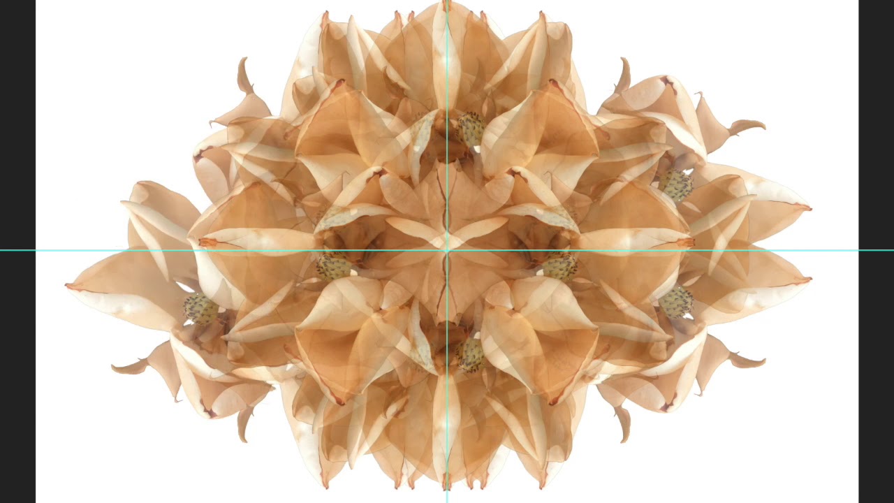 Magnolia Pattern Making - YouTube