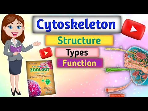 Cytoskeleton structure & function | Types of cytoskeleton | easy explanation in hindi & english ...