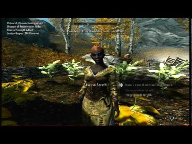 Skyrim Avrusa Sarethi