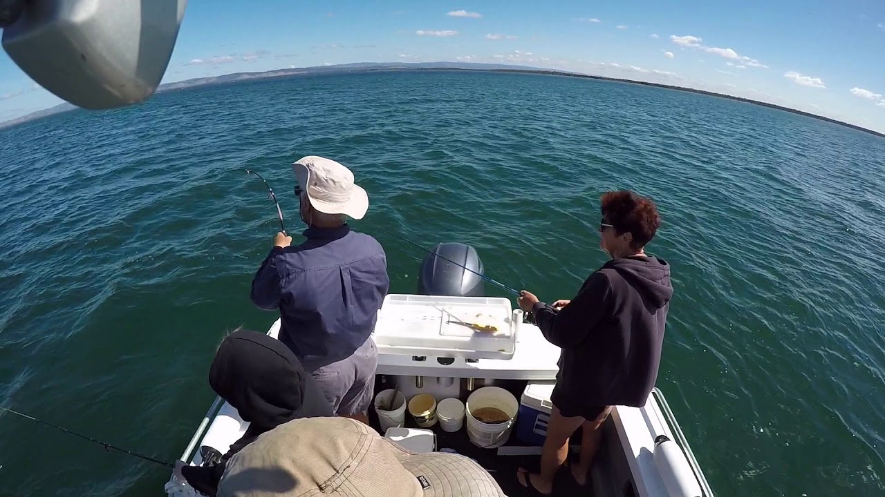 Whiting, Flathead and Squid fishing at Port Albert December 2020 - YouTube