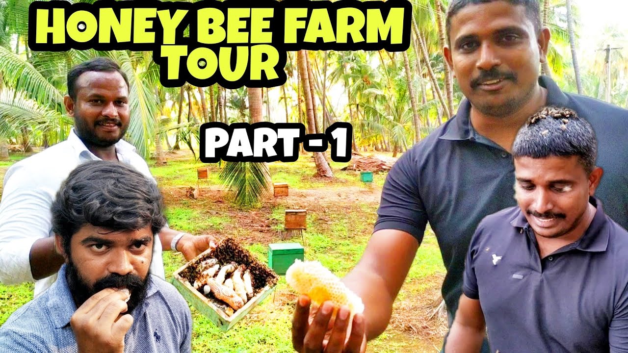 How to make Bee farm | Maaya HoneyBee Farm tour vlog in tamil ...