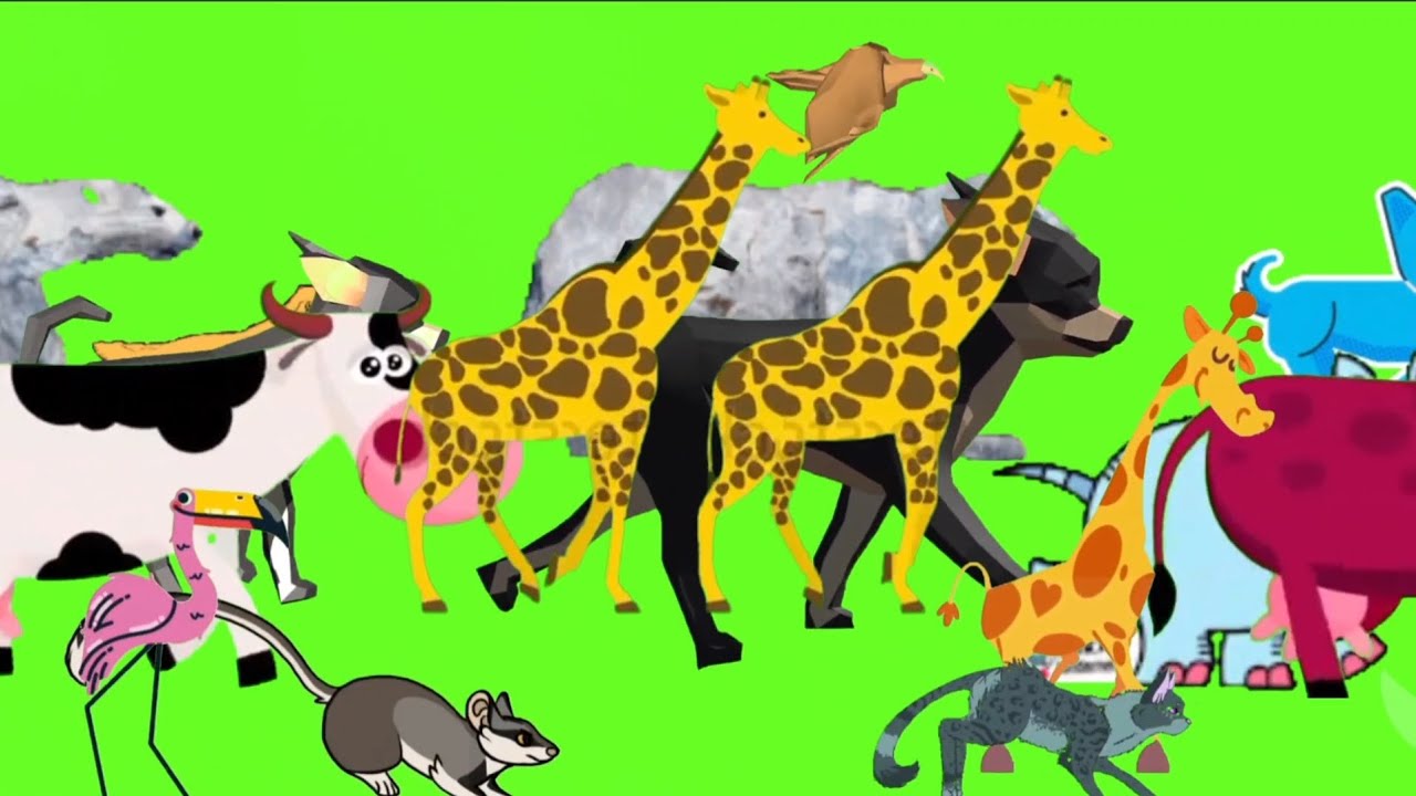 cartoon animal stampede green screen compliation - YouTube