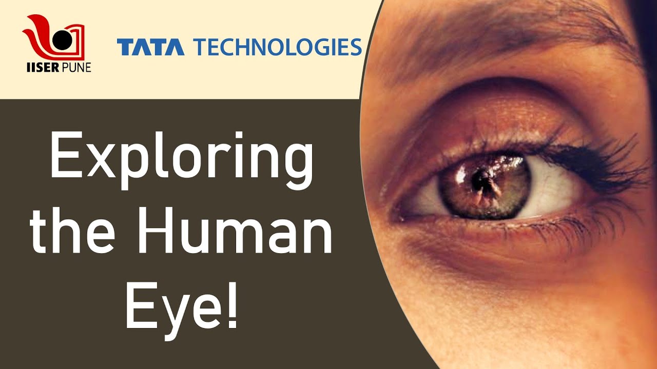 Exploring the Human Eye! - YouTube