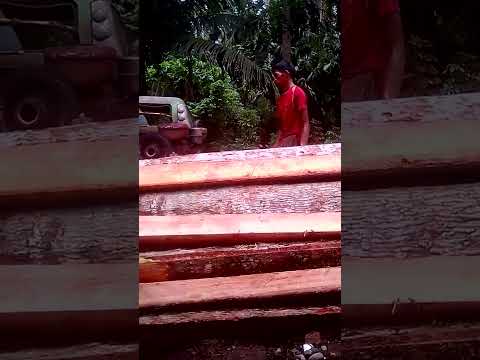 bekerja somel kayu padang pariaman - YouTube