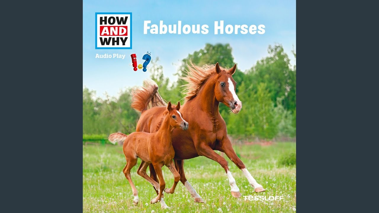 Fabulous Horses - Part 13 - YouTube