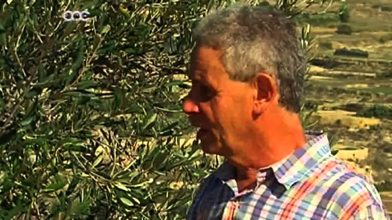 2nd October - Joe Spiteri, Sigar taz Zebbug - YouTube