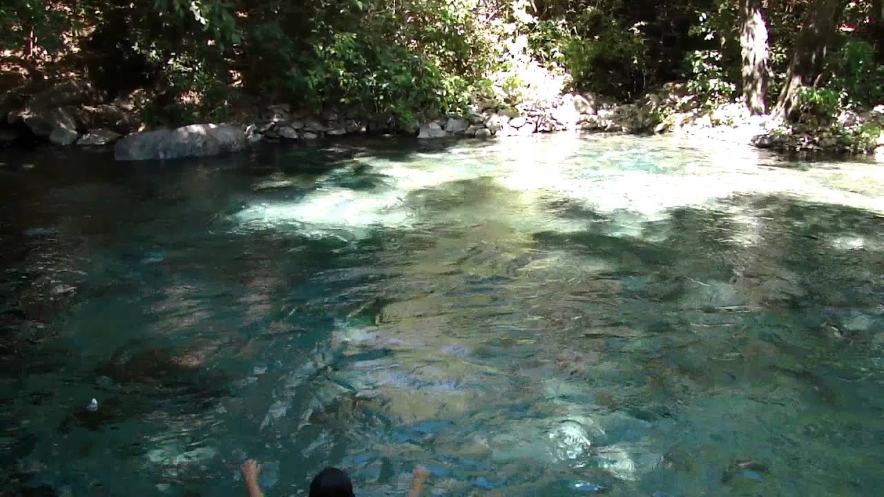 RIO AZUIS EM AURORA NO TOCANTINS - YouTube