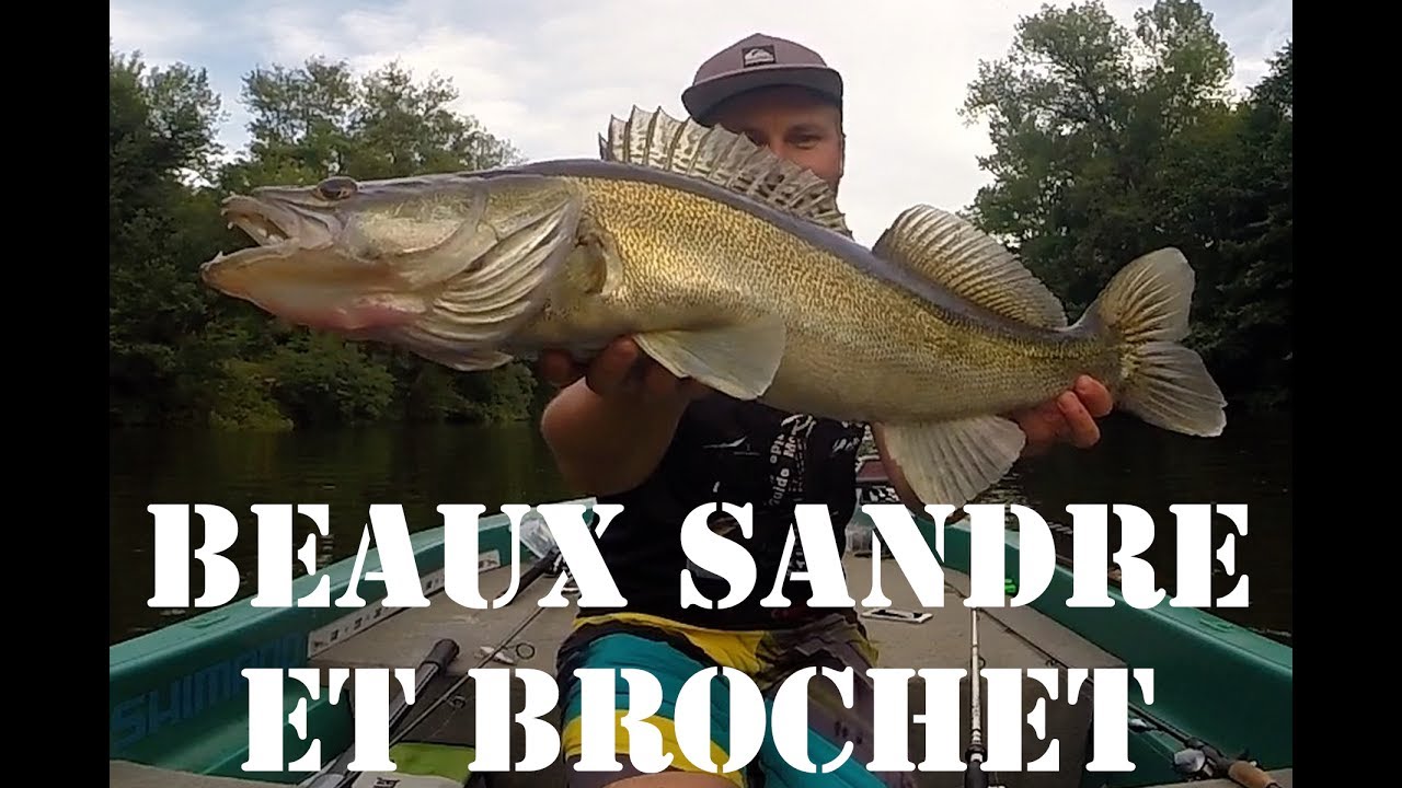 Beaux Sandre Et Brochet Sur Le Lot Pêche Des Carnassiers Aux Leurres