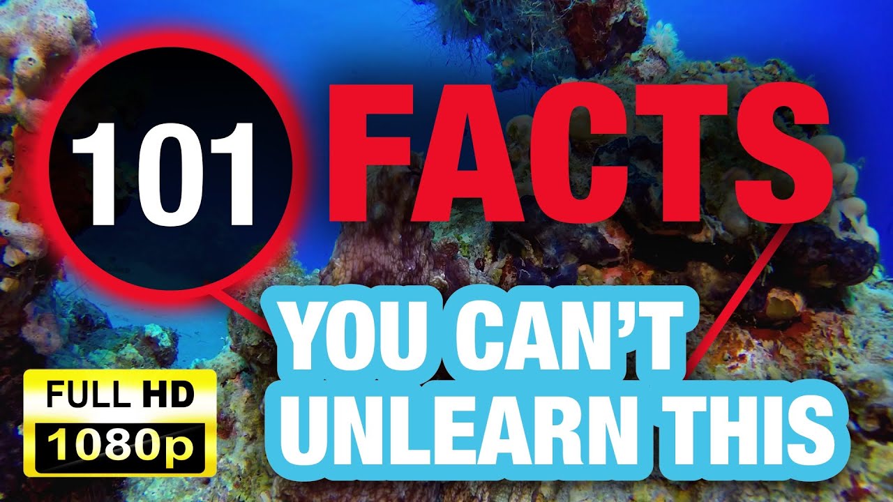 101 Random Facts That Will Surprise Even You! - YouTube